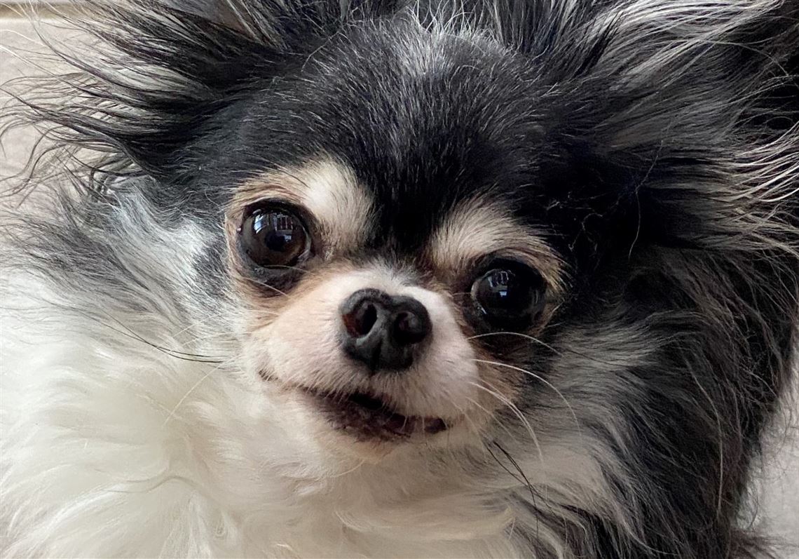 Mary Kennedy Withrow: The state should take better care of its people ...