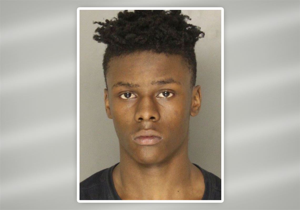 Police: East Liberty teen used homicide victim's own gun against him ...