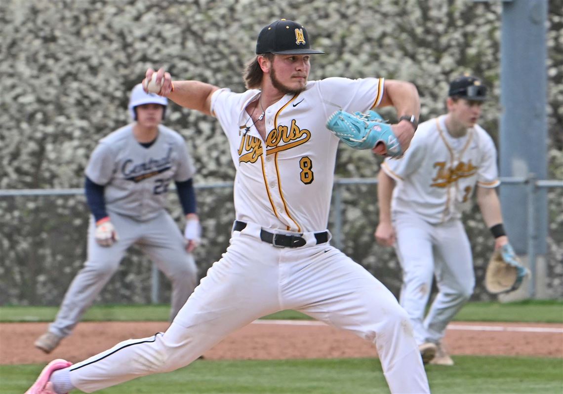 WPIAL baseball playoffs preview | Pittsburgh Post-Gazette