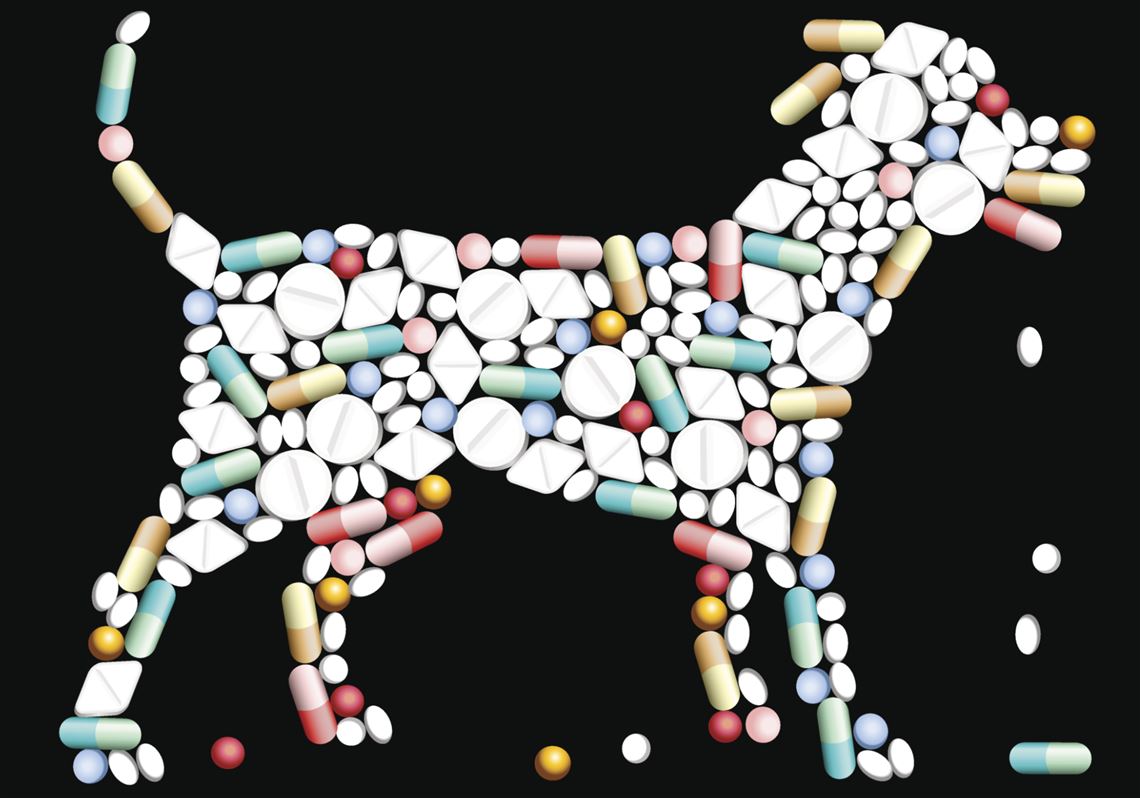 Pet Points: Clear all drug usage for a pet with a veterinarian ...