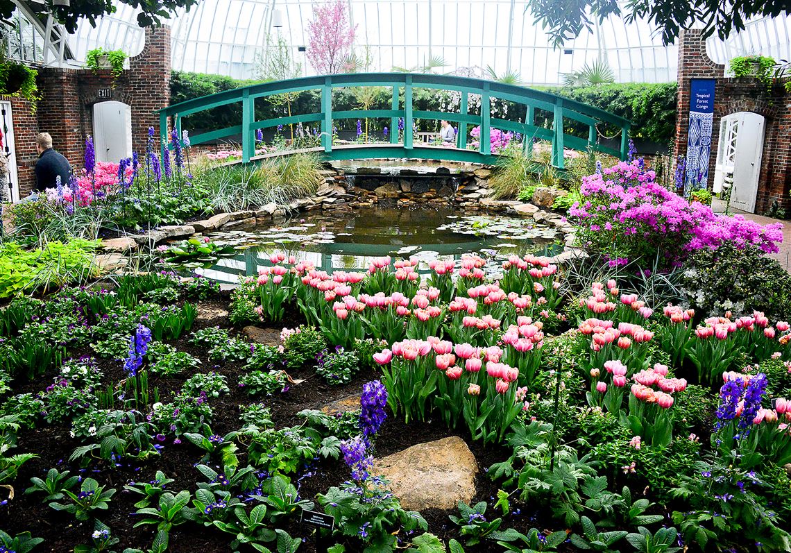 Flowers as art: Phipps Conservatory features 'Masterpieces in Bloom ...
