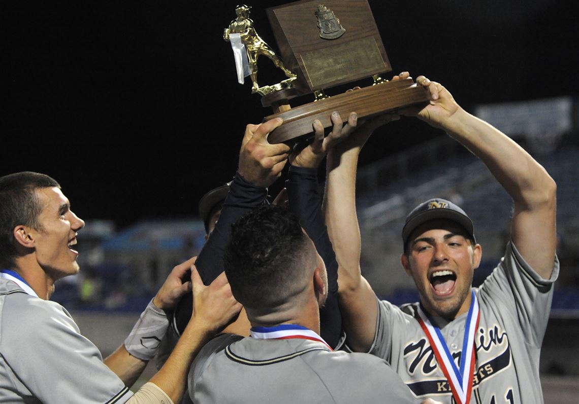 Despite lack of star power, Norwin baseball primed for turnaround ...