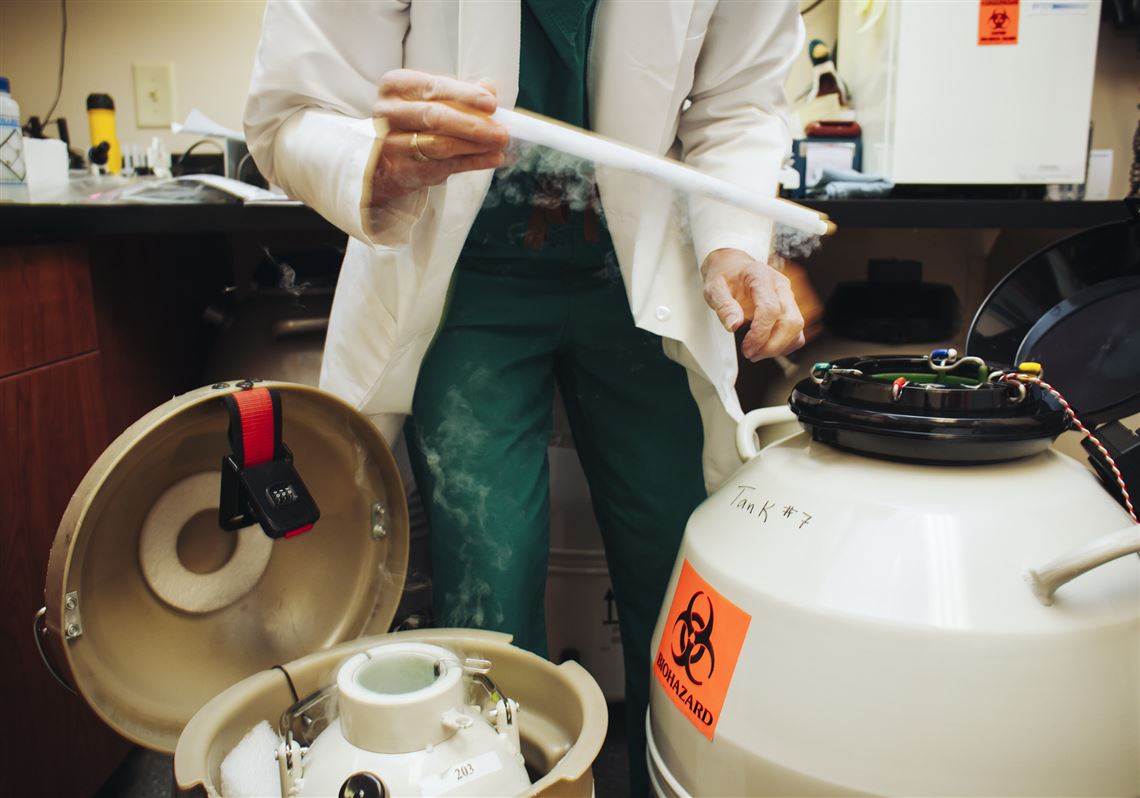 Ruth Ann Dailey: The Alabama Supreme Court doesn't know what 'life' is ...