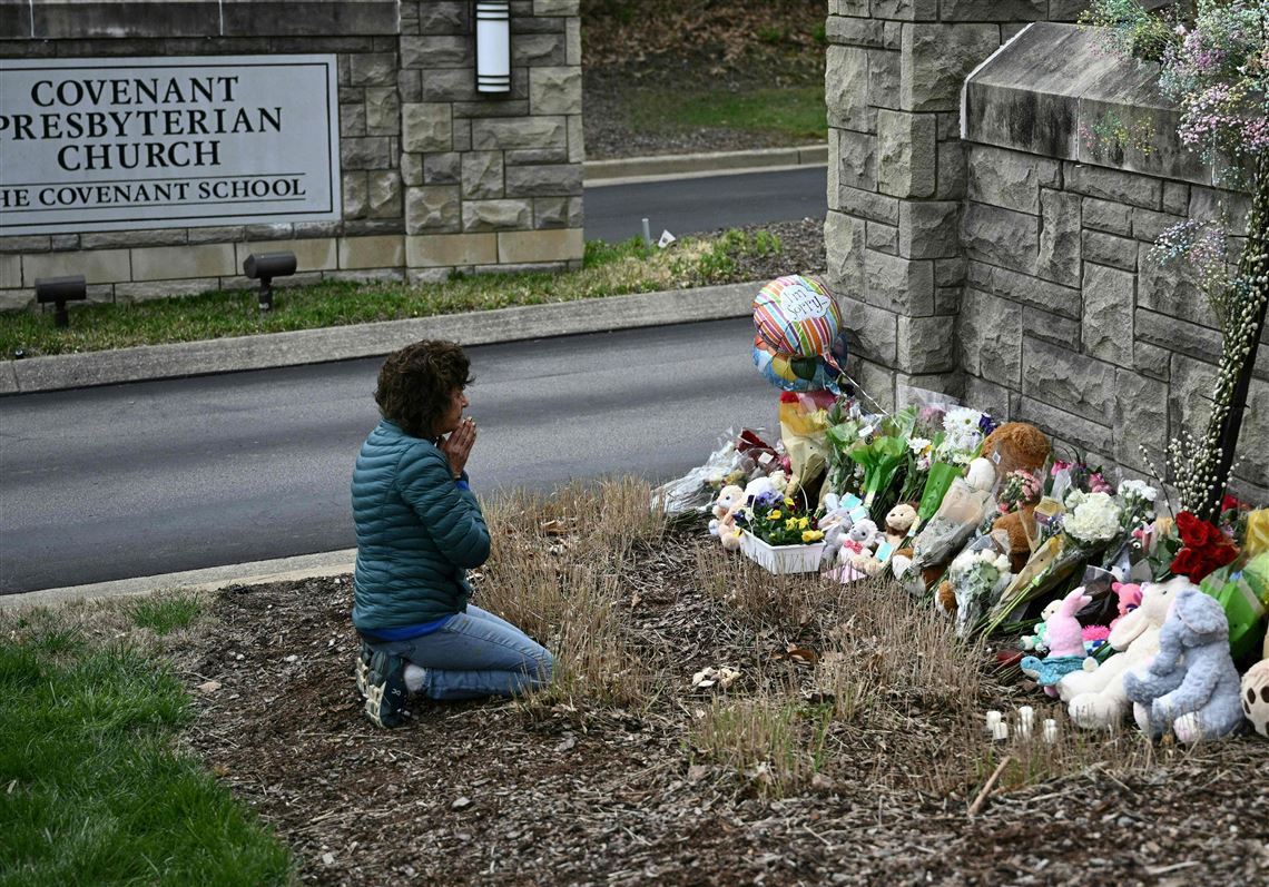 Ruth Ann Dailey: The American idol that keeps us from reasonable gun ...