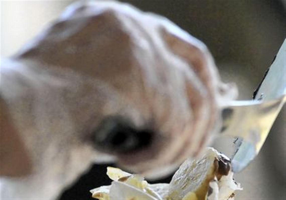 The Creped Crusader is a new mobile dining option | Pittsburgh Post-Gazette