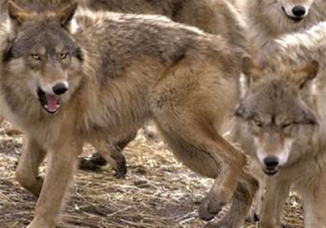 Get Out Events, Hunting & Fishing Calendar: 3/8/09 | Pittsburgh Post ...