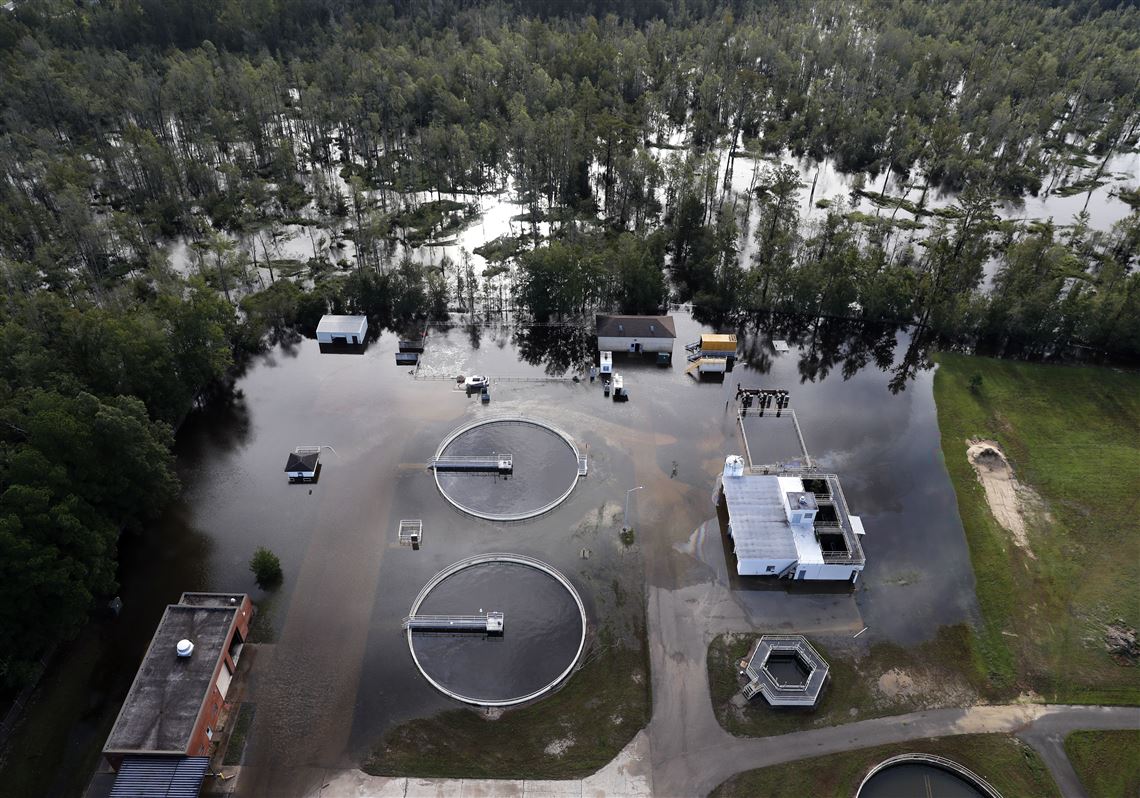 1.7 million chickens drown as NC rivers swollen by Florence ...