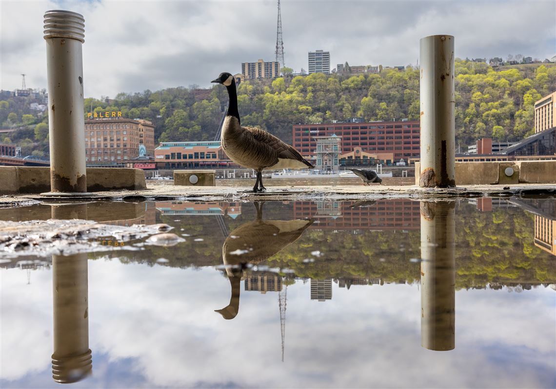 Weather Heavy Rain Causes Some Flooding In Pittsburgh Heavy Rain
