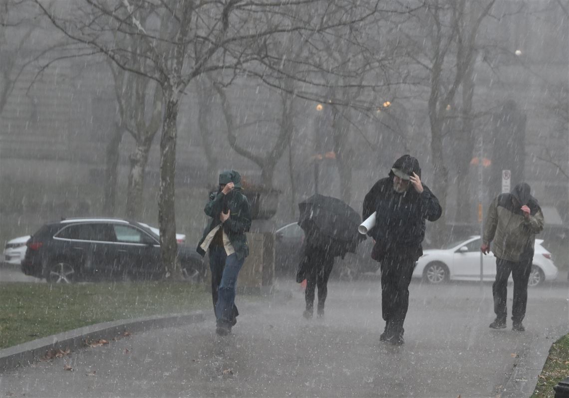 Pittsburgh area customers hit by power outages after storms blow ...