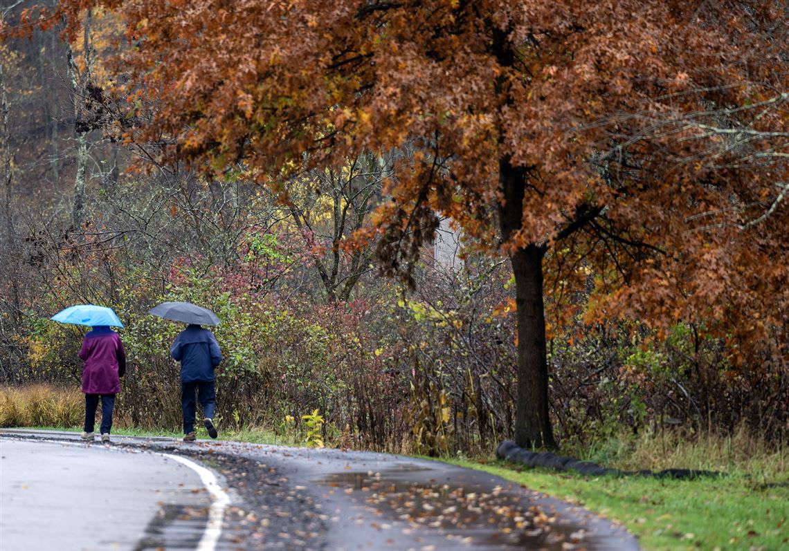 Jacob Comer - Journalist Profile - Intelligent Relations