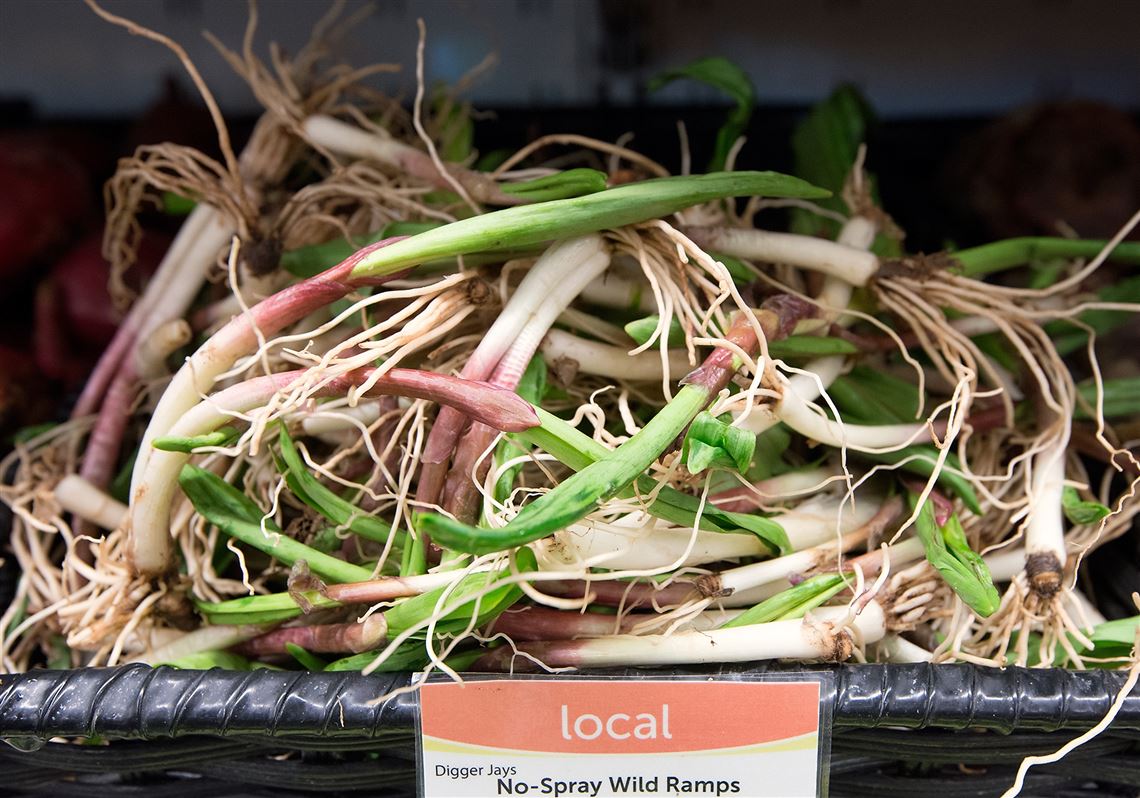 Wildlife: Stinky roots and delicious mushrooms | Pittsburgh Post-Gazette