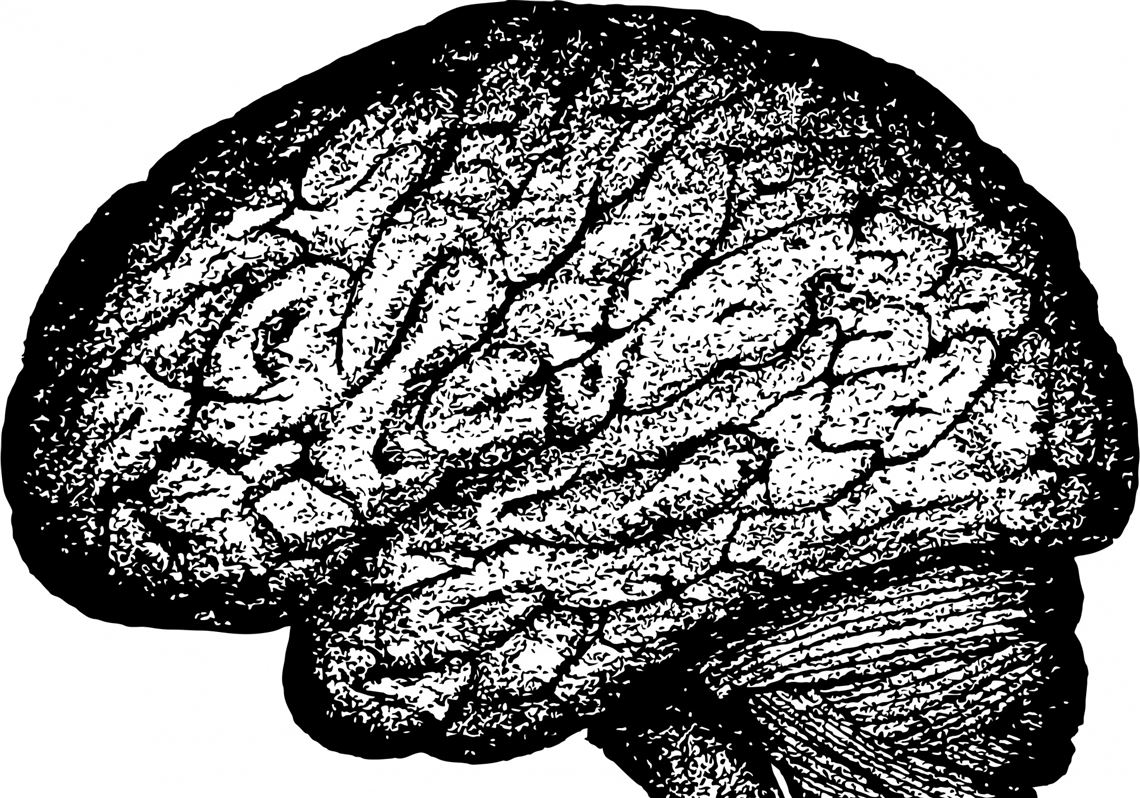 Another Alzheimer's drug fails as Lilly, Astra halt tests | Pittsburgh ...