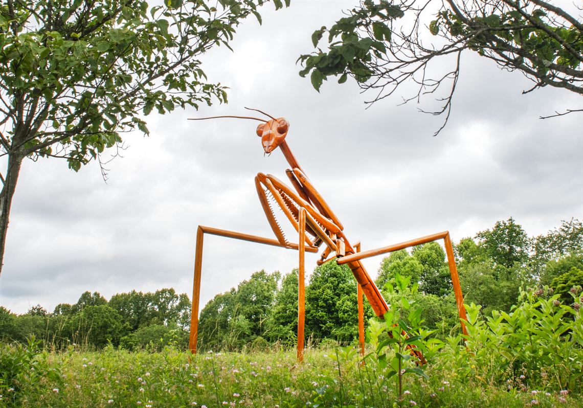 The giant bugs of 'David Rogers’ Big Bugs + Pollinators' have landed at ...