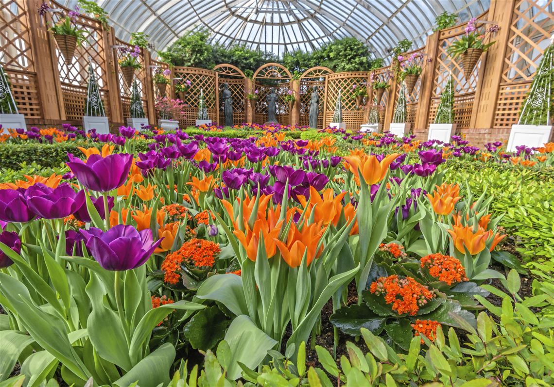 The best things happening in Pittsburgh this weekend: March 28-31 ...