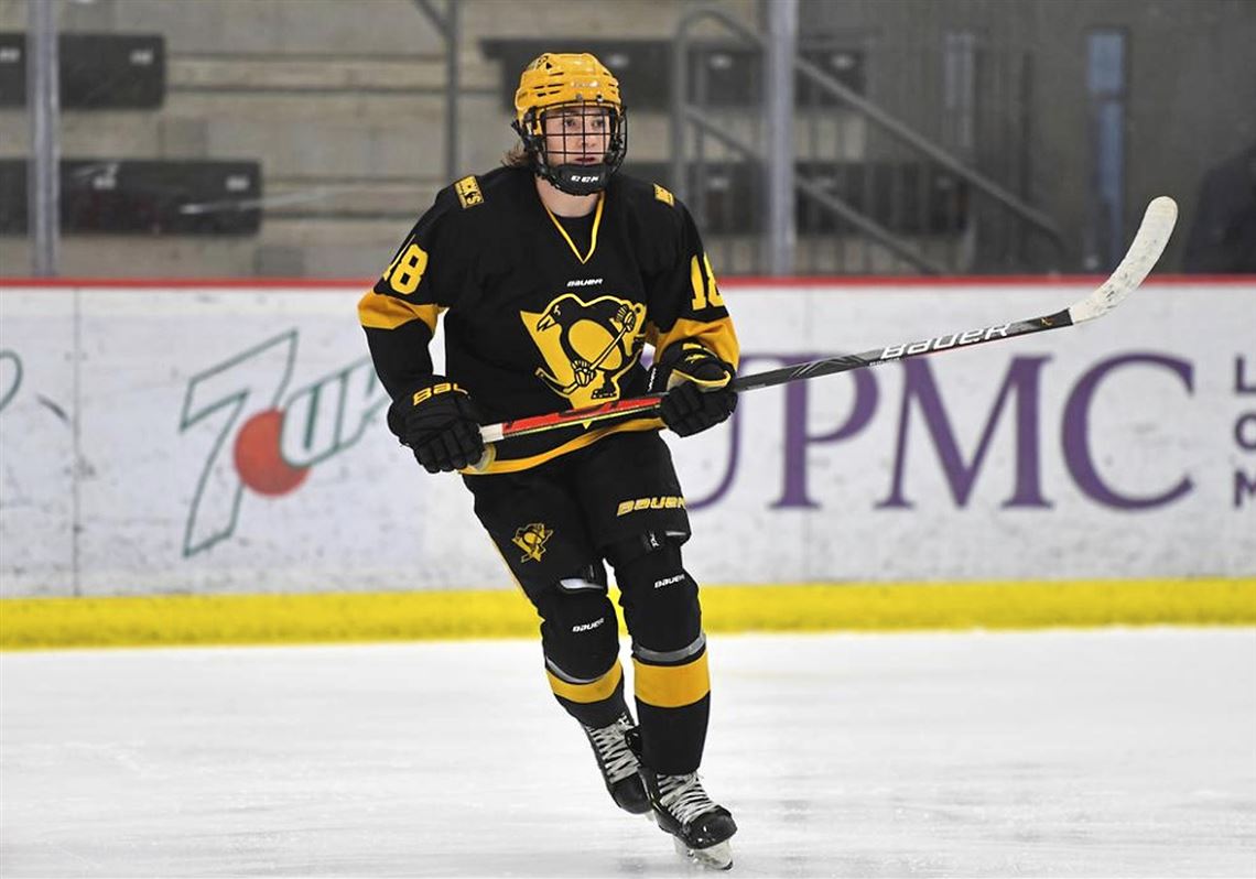 West Mifflin's Logan Cooley goes from 'Little Penguins' to U.S ...