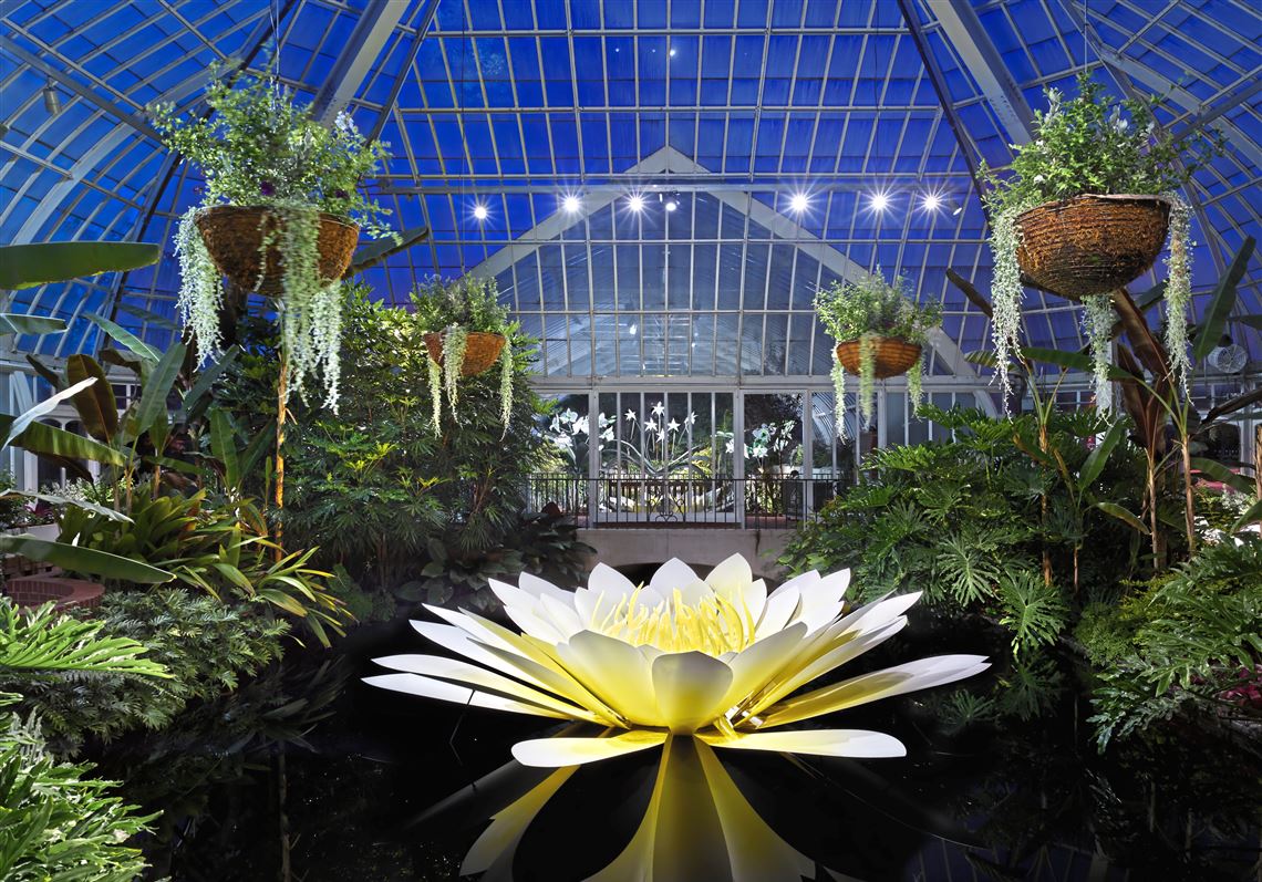 Glass blooms shine at Phipps Nights | Pittsburgh Post-Gazette
