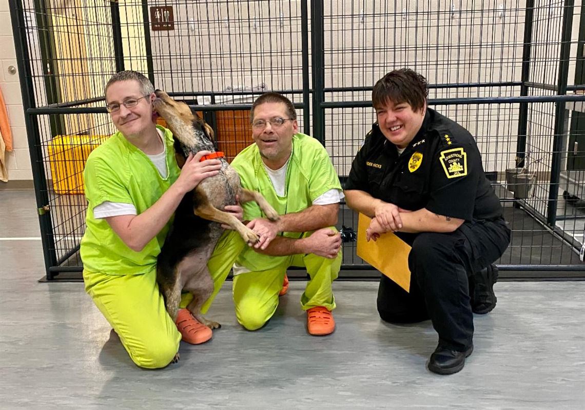 Armstrong County Jail welcomes four-legged inmate Luna | Pittsburgh ...