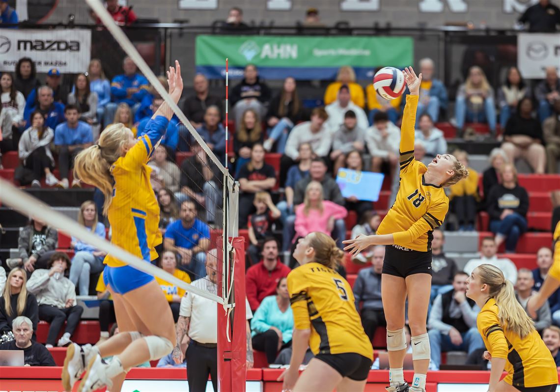 WPIAL girls volleyball preview: North Allegheny No. 1 again ...