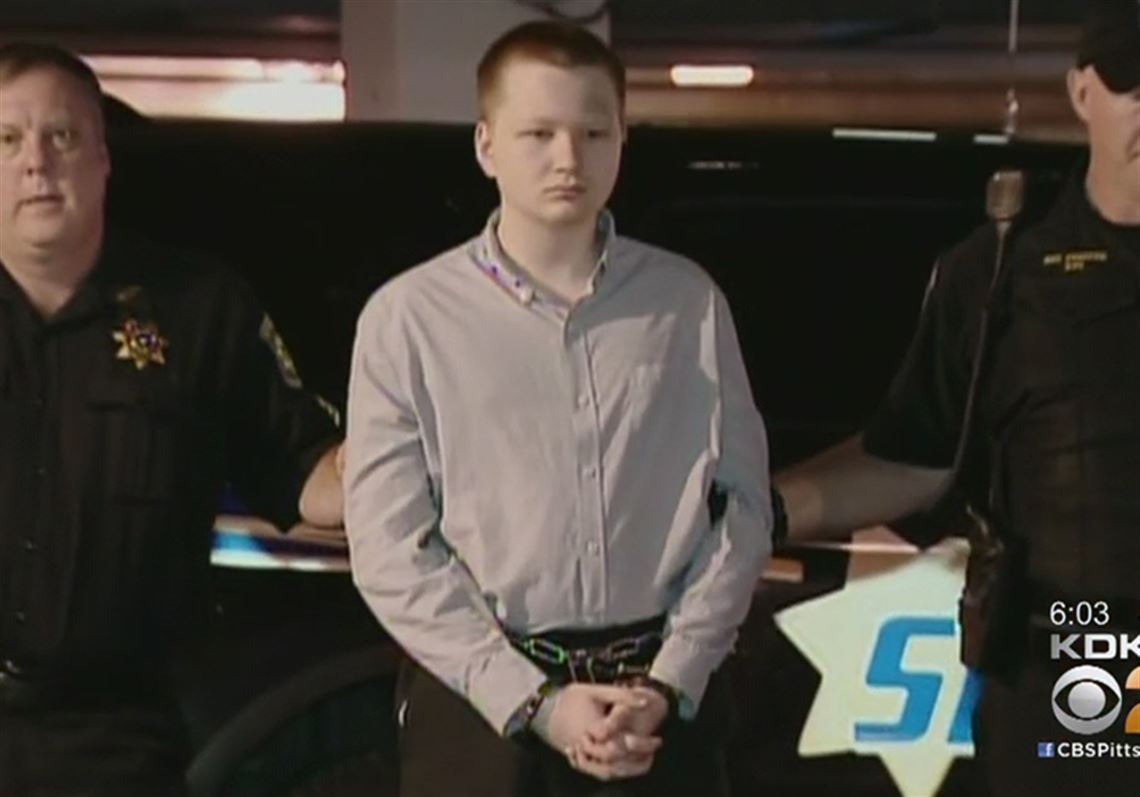 Hempfield teen pleads guilty but mentally ill to killing mother ...