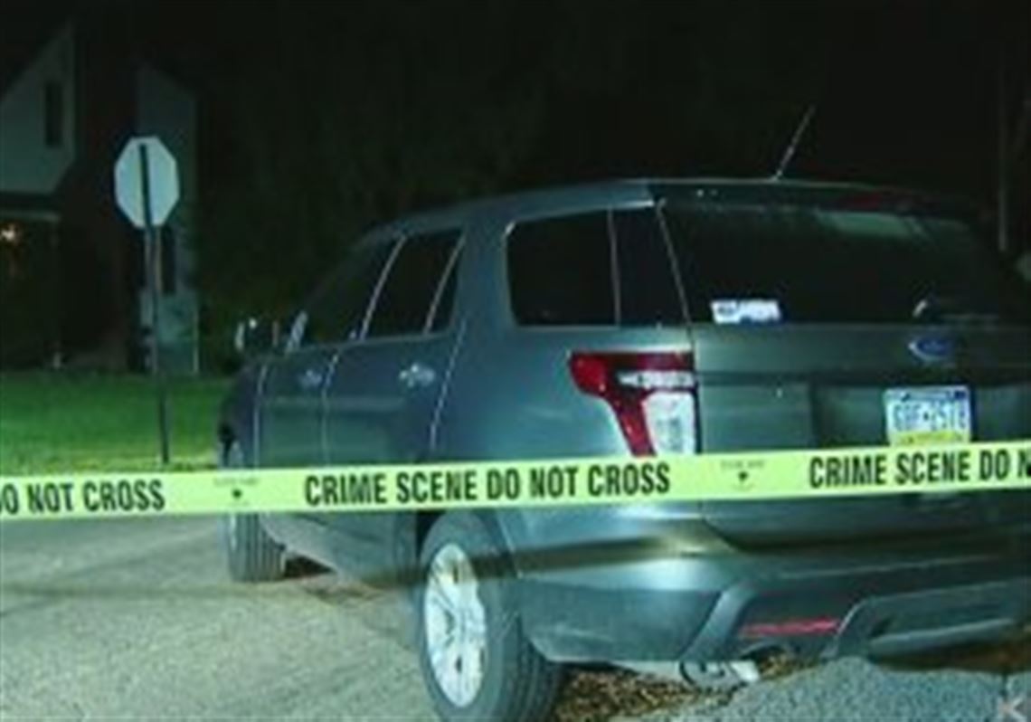 Lower Burrell police shoot and kill man after domestic incident ...