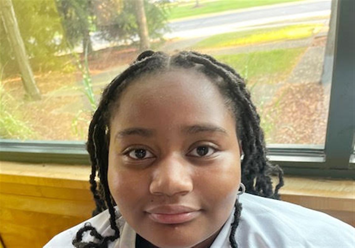 3 good things: Black Girl Hockey, Flight 93 memorial and a Mt. Lebanon ...