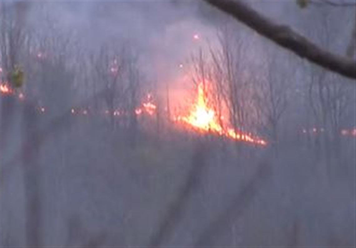 Officials say strong winds fueled forest fires in Ohiopyle State Park ...
