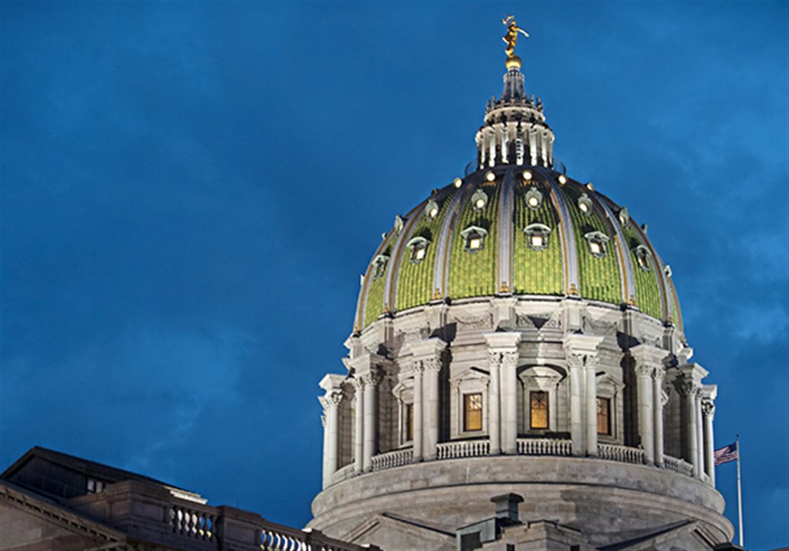 State Reps. Aerion Abney and Natalie Mihalek picked to lead House ...