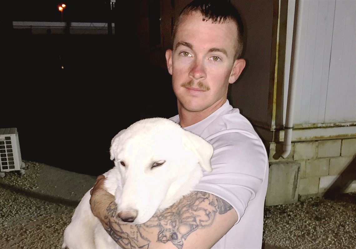 Pet Tales: These dogs made it back from the Middle East before their ...