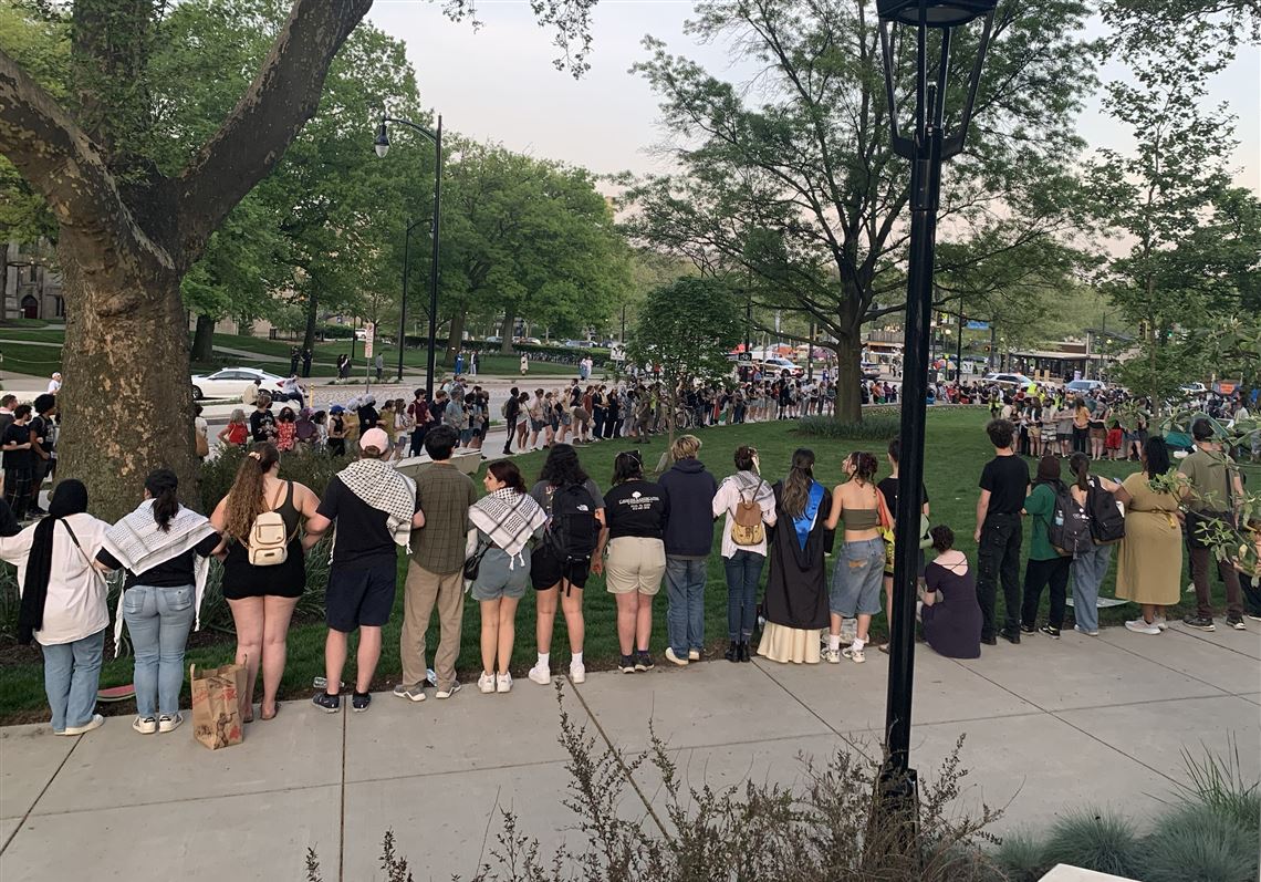 Hundreds of pro-Palestinian protesters gather at University of ...