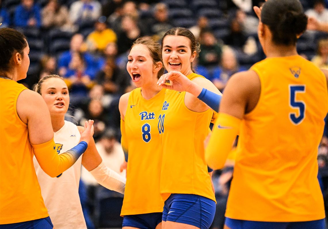 3 takeaways from Pitt volleyball's spring scrimmages | Pittsburgh Post ...