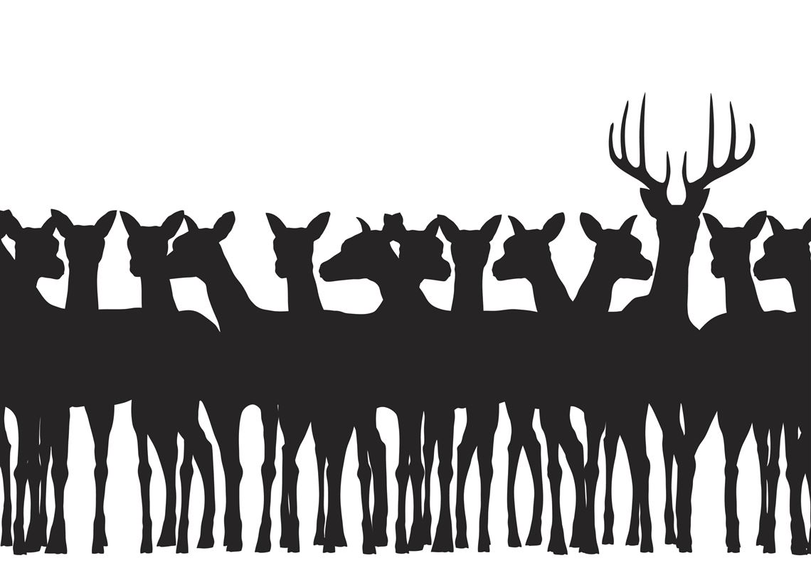 Gary Rotstein's Morning File: Oh deer, it’s going to be some night in ...