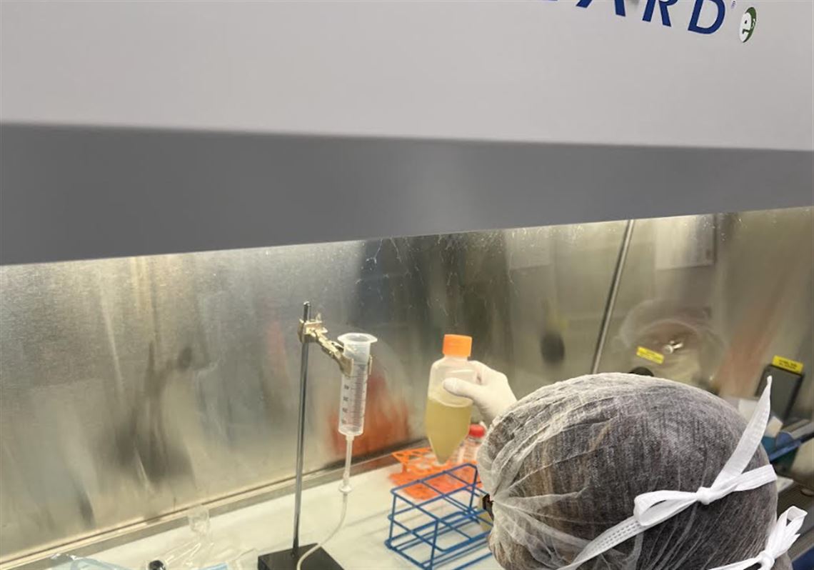 Imagine Pharma partners with Cook MyoSite to restore insulin-making ...