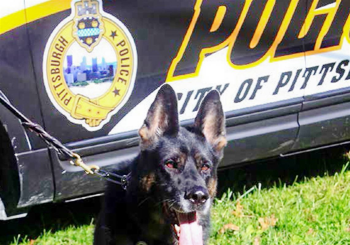 Ruth Ann Dailey: Give fallen K-9 officers a memorial home | Pittsburgh ...