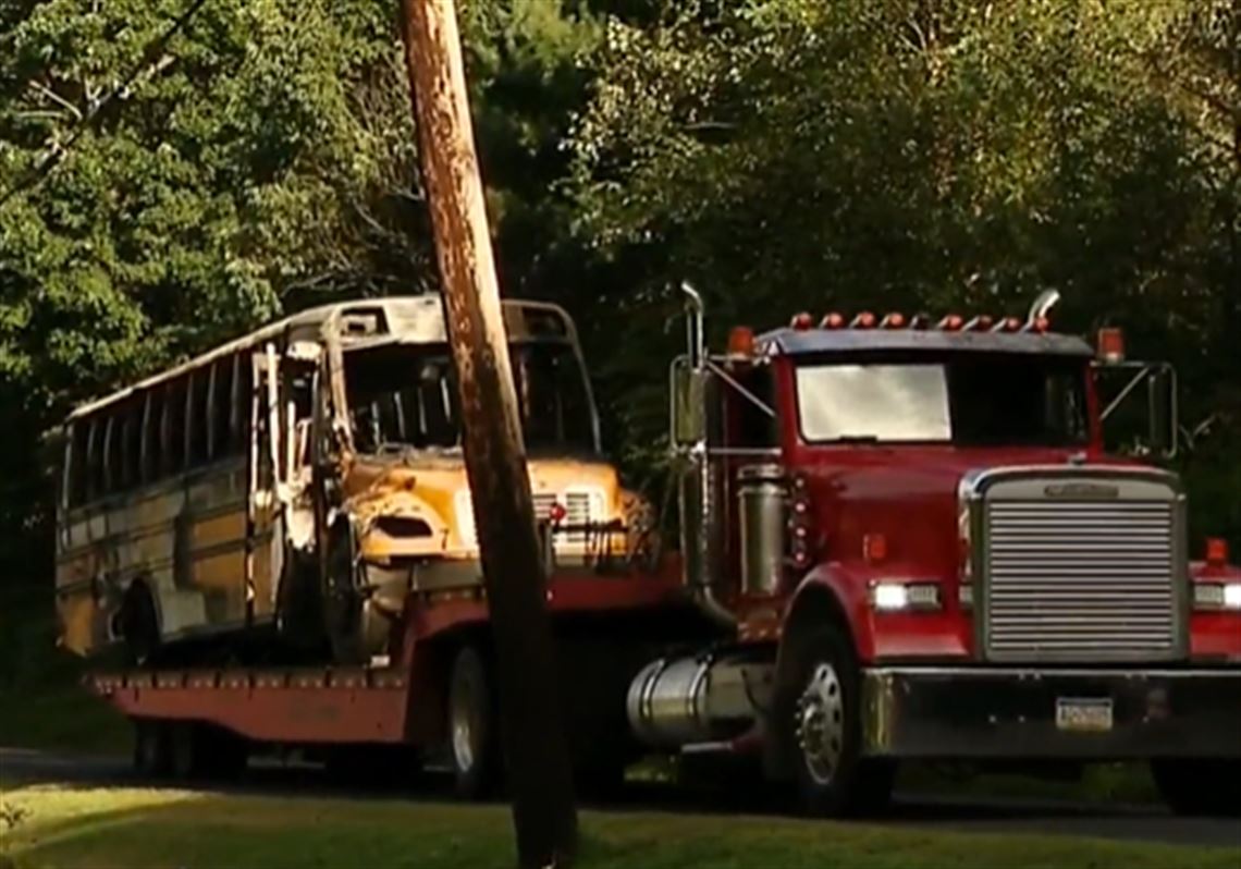 School bus driver fatally electrocuted after utility pole collision ...