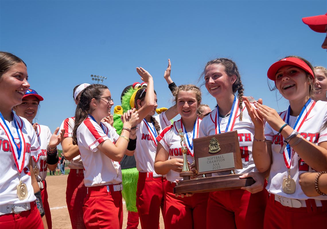 'An incredible feeling' after Antelopes win WPIAL Class 3A title ...