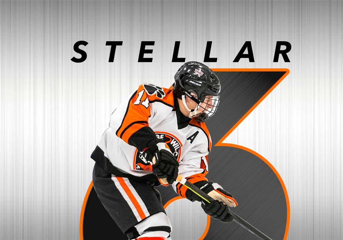 Stellar Six 2020: Meet the Post-Gazette's hockey all-stars | Pittsburgh ... Stellar Six 2020: Meet the Post-Gazette's hockey all-stars | Pittsburgh ...