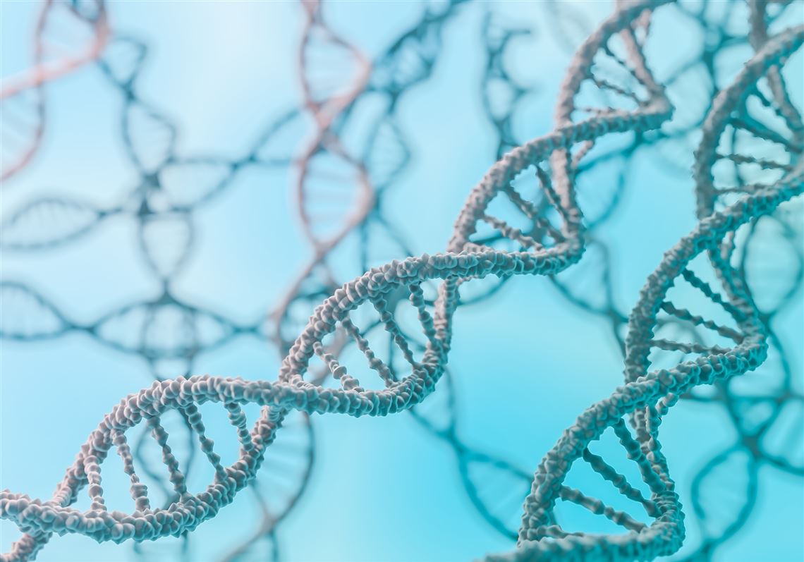 Emerald Tse: Pa. legislators want to advance the nation's genetic ...