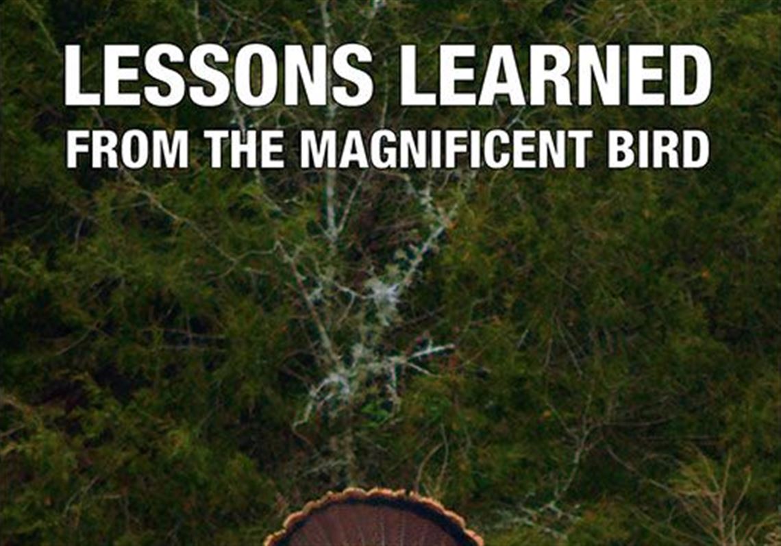Yelp, Kee-Kee, Cluck: Spring gobbler hunting is all about the call ...