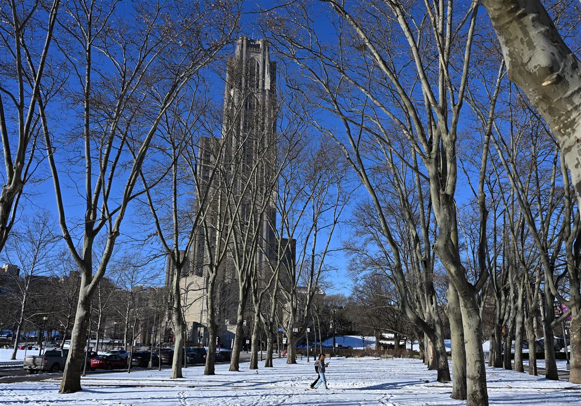 New NIH policy: Pitt faces big cut in federal research money ...