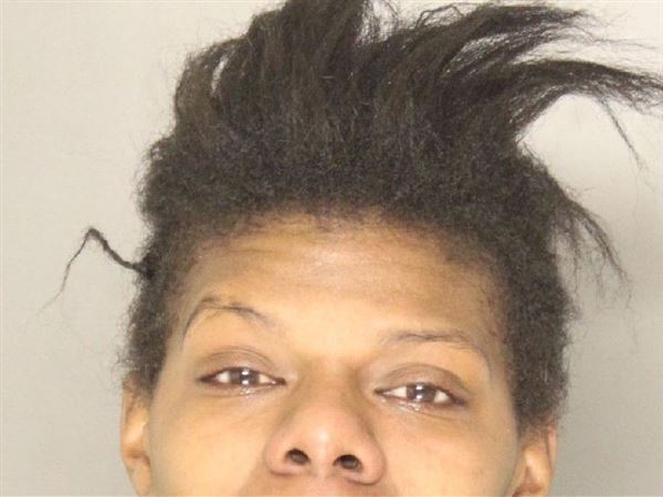 Hearing rescheduled for woman charged with endangering two children ...